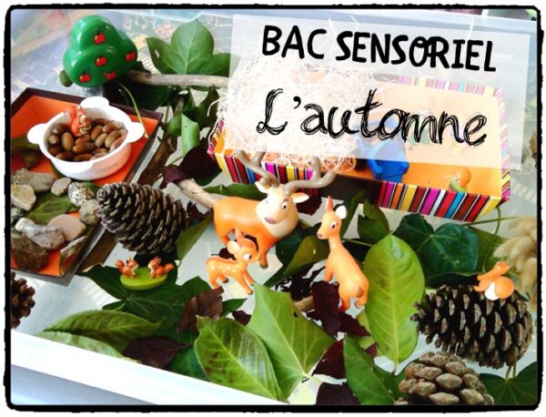Bac sensoriel d'hiver