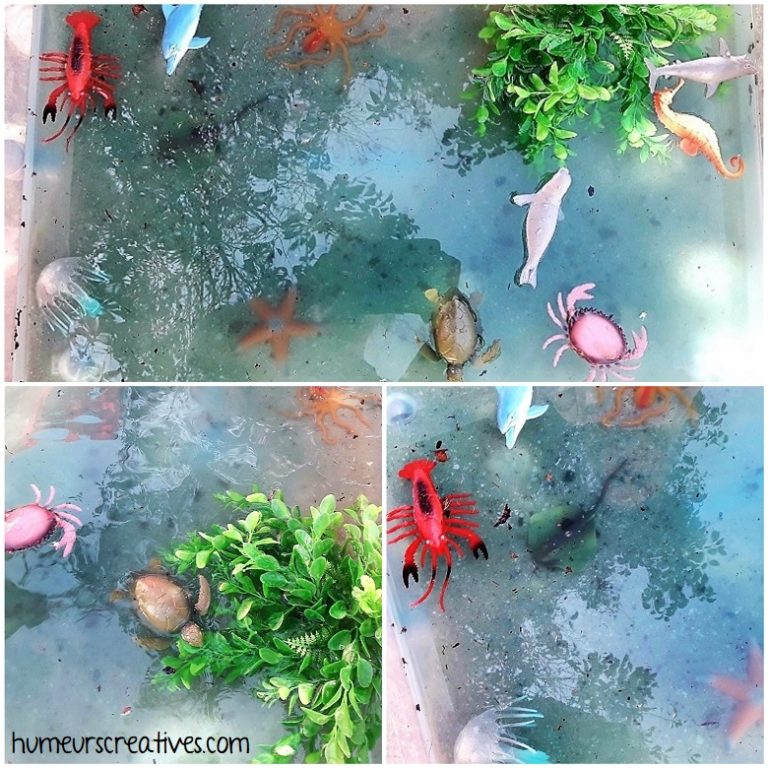 Bacs sensoriels pour enfants sur le thème de la mer