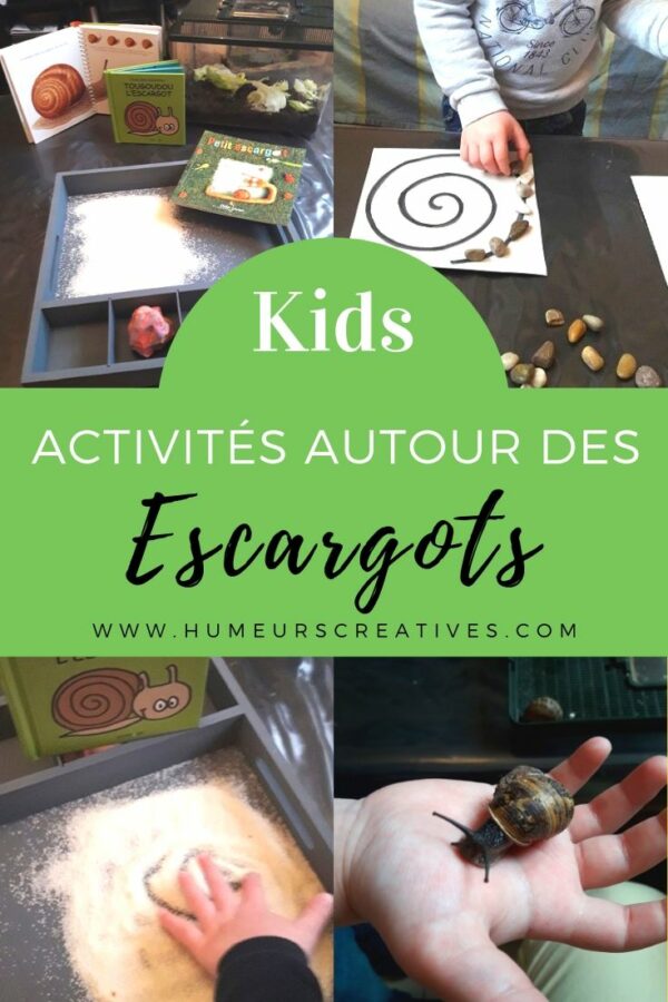 Les escargots, activités pour enfants