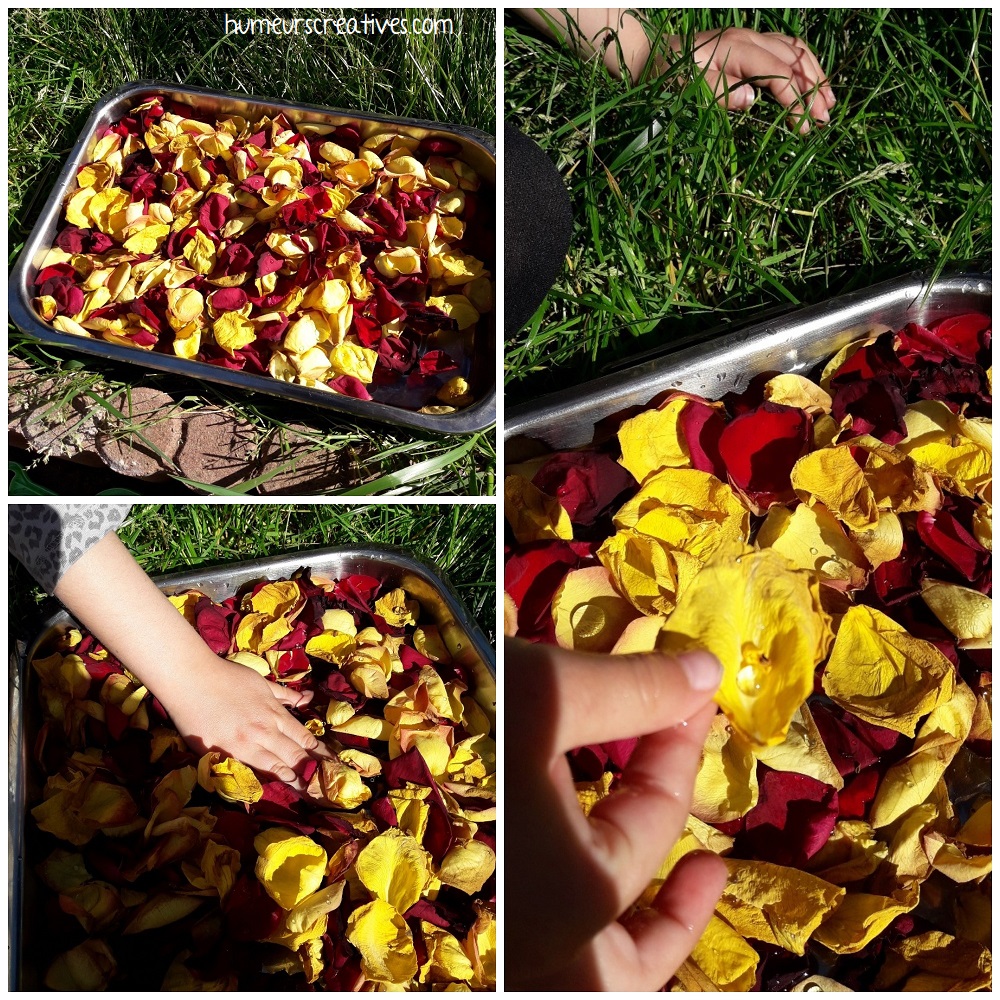 25 idées d'activités pour les enfants sur le thème des fleurs