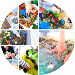 50 accessoires et plus pour mettre en place des bacs sensoriels pour ...