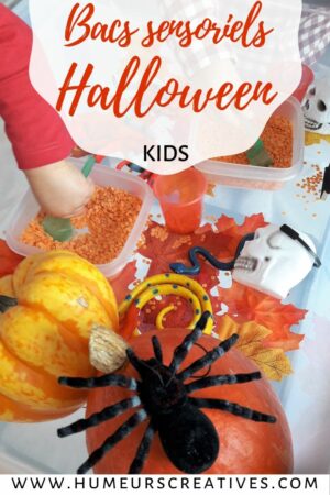 Idées de bacs sensoriels sur Halloween